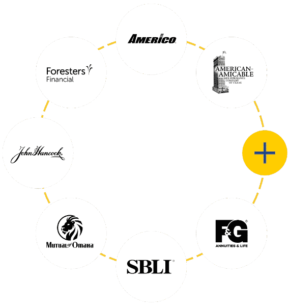 Carriers & Products | Quility B2B