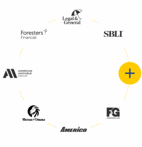 Carriers & Products | Quility B2B